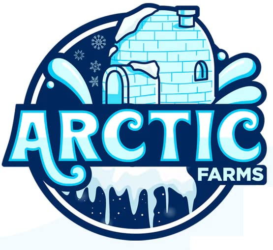 Arctic Farms Freeze Dried Ice Cream Bits Bagged and Boxed - Does Not Melt (Vanilla)