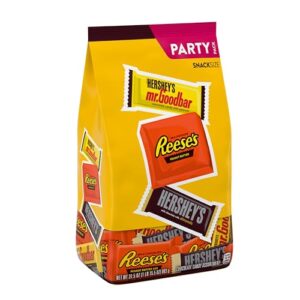 HERSHEY'S and REESE'S Assorted Chocolate Flavored Snack Size, Candy Party Pack, 31.5 oz