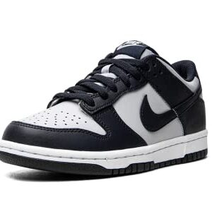 Nike Boy's Youth Dunk Low GS shoe, Wolf Grey/Dark Obsidian, 7 Big Kid