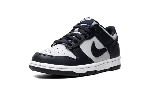 Nike Boy's Youth Dunk Low GS shoe, Wolf Grey/Dark Obsidian, 7 Big Kid