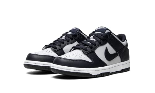 Nike Boy's Youth Dunk Low GS shoe, Wolf Grey/Dark Obsidian, 7 Big Kid