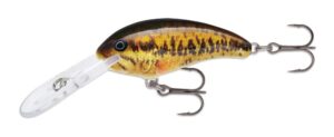 rapala sdd04sbl shad dancer 04 live smallmouth bass