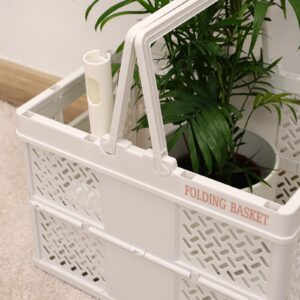 TRZZ 2-Pack Plastic Storage Baskets with Handles, Collapsible Hanging Basket for Organizing, Pastel Storage Crates for Car, Kitchen, Office, Bathroom, and Picnic Organizing, White+Mocha. (12.2" 9"