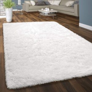 Ompaa Fluffy Rug, Super Soft Fuzzy Area Rugs for Bedroom Living Room - 5' x 8' Large Plush Furry Shag Rug - Kids Playroom Nursery Classroom Dining Room Decor Floor Carpet, Cream White