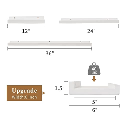 TREOAKWIS 12 inch White Floating Shelves Oak Wall Shelf Natural Wood Wall Mounted Display Picture Ledge Shelf for Home Office Living Room Bedroom Wall Storage Shelf 6X12inch