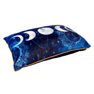 Spirit Halloween Tarot Moon Phase Pillow