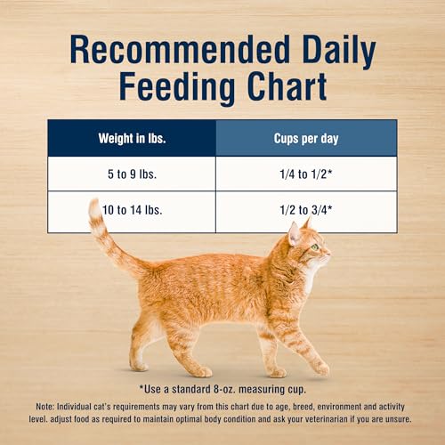 Blue Buffalo True Solutions Blissful Belly Digestive Care Natural Dry Food for Adult Cats, Chicken, 11-lb. Bag