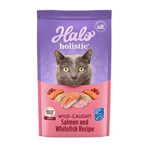 halo holistic cat food dry, wild-caught salmon and whitefish recipe, complete digestive health, dry cat food bag, adult formula, 3-lb bag