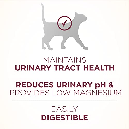 Purina ONE High Protein Dry Cat Food, +Plus Urinary Tract Health Formula - 22 lb. Bag