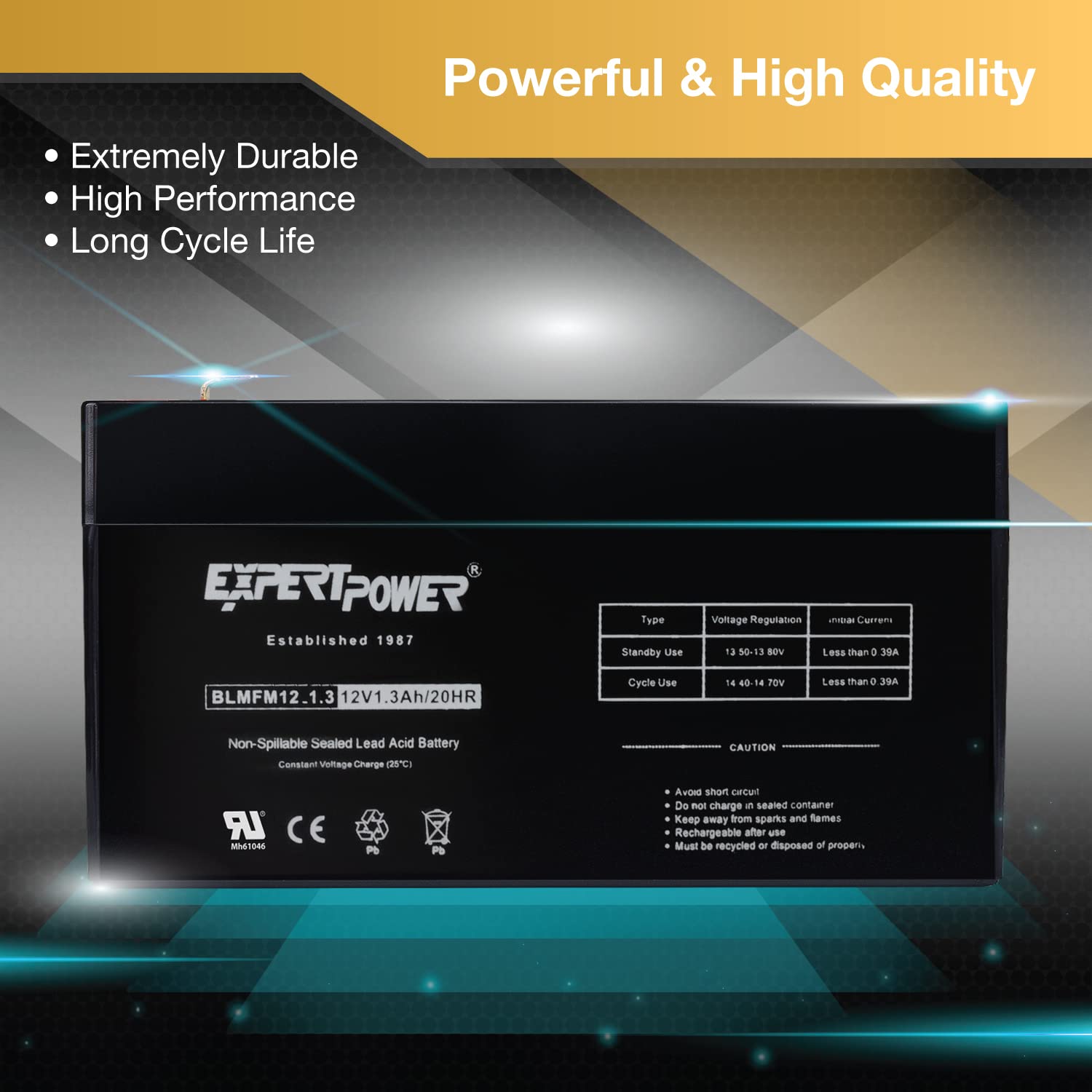 ExpertPower 12v 1.3Ah SLA Rechargeable Battery with F1 Terminals || EXP1213 (Not a Replacement for WP3_12)