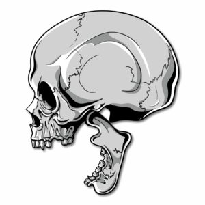 human skull biting apple logo vinyl decal sticker - skin macbook pro air sticker 13" 15" 17" laptop sticker zombie sticker self adhesive vinyl