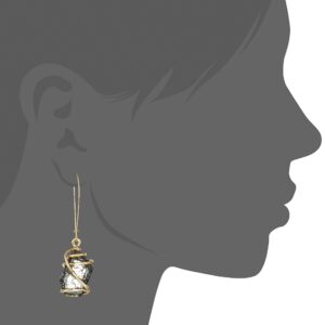 Robert Lee Morris Soho Caged Stone Dangle Earrings, Black, one size (RS04705-E04)