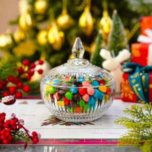 600ml/21oz Large Glass Candy Dish with Lid,Clear Crystal Candy Jar with Lid,Decorative Candy Jar for Candy Buffet, Party, Wedding, Home Decoration,Dishwasher Safe