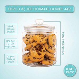 Set of 3 Glass Jar with Lid 1 Liter | Airtight Glass Storage Container for Food, Pasta, Coffee, Candy, Dog Treats, Snacks | Glass Organization Canisters for Home & Kitchen | 34 Ounces