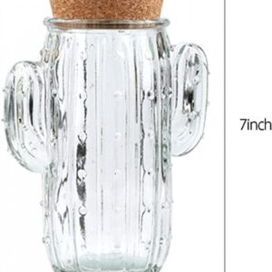 123Arts Glass Relief Cactus Candy Jar Candy Dish Container Snack Jar Food Storage Jar with Lid