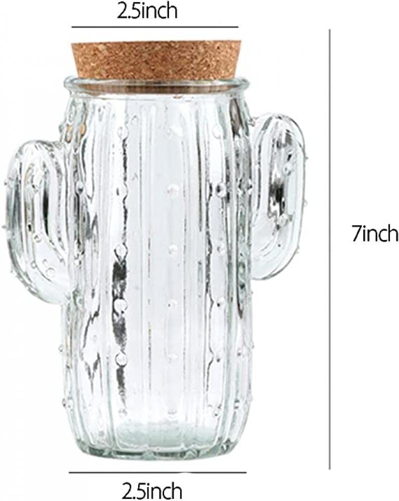 123Arts Glass Relief Cactus Candy Jar Candy Dish Container Snack Jar Food Storage Jar with Lid