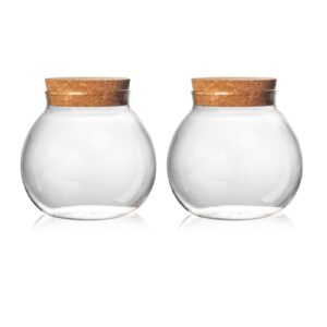 aurfedes set of 2 round glass jars with cork lid – 17oz wedding candy jar kitchen storage jar, perfect for tea, biscuits, cereals, flour, beans, spices, coffee beans etc (2pcs)