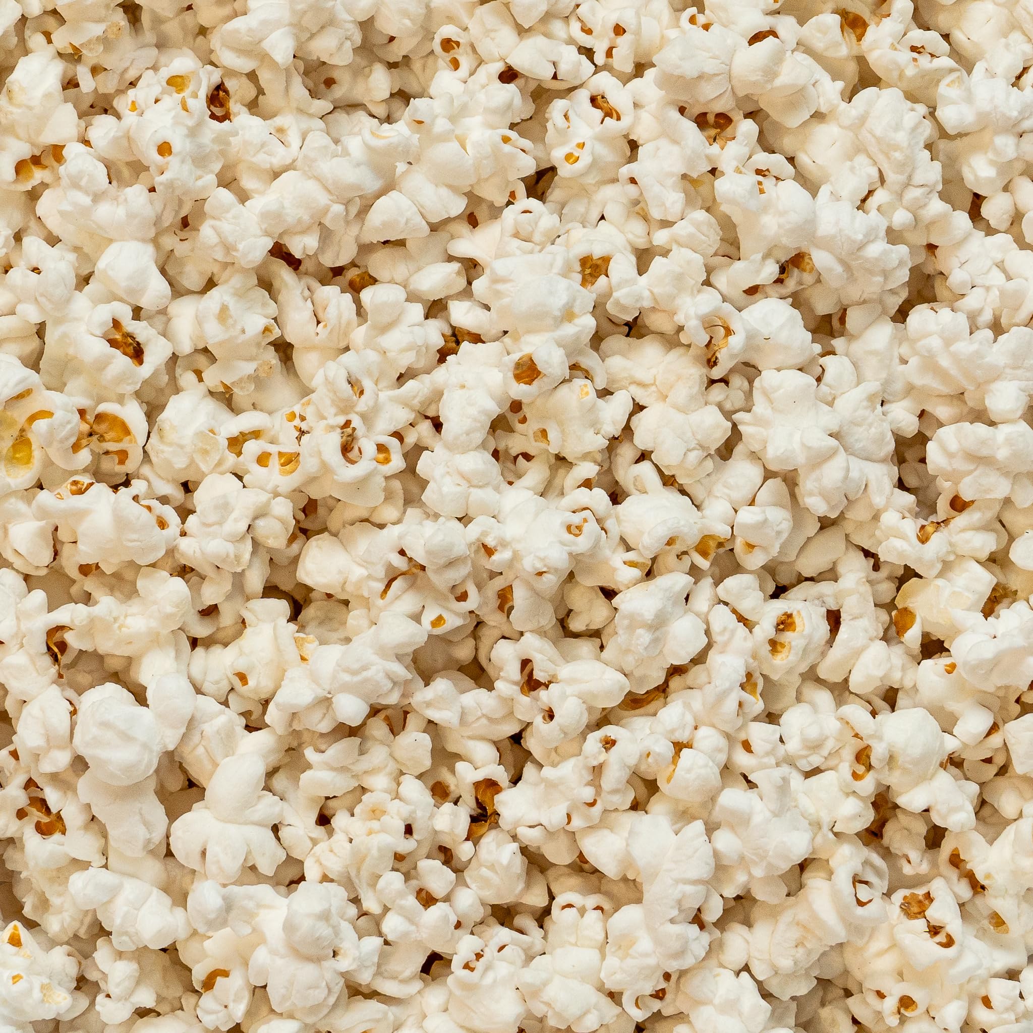 Colby Ridge Gourmet Craft Popped Gluten Free Popcorn Bulk Sized Large Gift Party Bags (Bulk 5 Gal. 80 Cups) (Fluffy White)