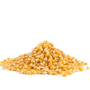 Bob's Red Mill Whole Yellow Popcorn, 30 Oz