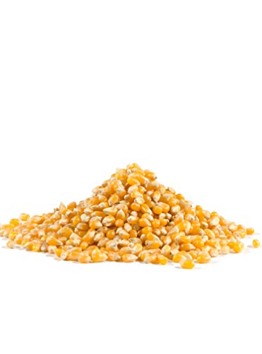 Bob's Red Mill Whole Yellow Popcorn, 30 Oz