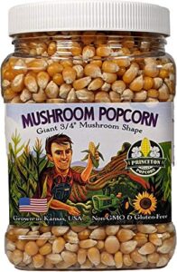 mushroom popcorn kernels by princeton popcorn - farmer direct, non-gmo, gluten free, unpopped, ball shaped, old fashion popcorn pops extra large popcorn kernels, mushroom popcorn kernels for popping for air popper & stovetop 32oz