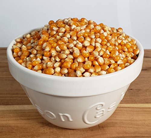 Mushroom Popcorn Kernels by Princeton Popcorn - Farmer Direct, Non-GMO, Gluten Free, UnPopped, Ball Shaped, Old Fashion Popcorn Pops Extra Large popcorn kernels, mushroom popcorn kernels for popping for Air Popper & Stovetop 32oz