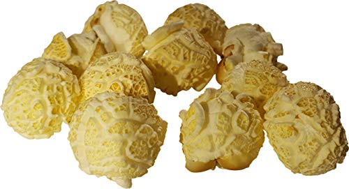 Mushroom Popcorn Kernels by Princeton Popcorn - Farmer Direct, Non-GMO, Gluten Free, UnPopped, Ball Shaped, Old Fashion Popcorn Pops Extra Large popcorn kernels, mushroom popcorn kernels for popping for Air Popper & Stovetop 32oz