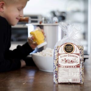 Amish Country Popcorn | 2 lbs Bag | Red Popcorn Kernels | Old Fashioned, Non-GMO and Gluten Free (Red - 2 lbs Bag)