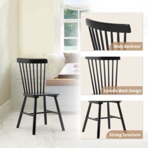 LUE BONA Windsor Dining Chair Set of 4, Spindle Back Wooden Chairs for Kitchen and Dining Room, Black