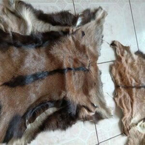 Real Antelope Goat Hide Fur Skin Pelt Fur Sheepskin Leather Fur Skin Clothing Accessories 1pcs (Approx 16"X20")