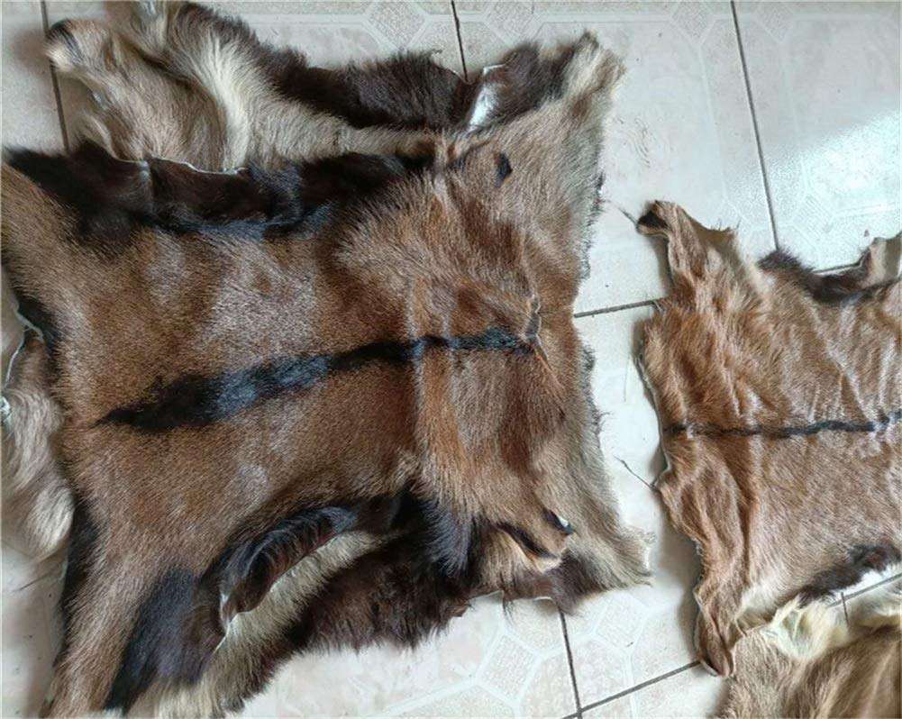 Real Antelope Goat Hide Fur Skin Pelt Fur Sheepskin Leather Fur Skin Clothing Accessories 1pcs (Approx 16"X20")