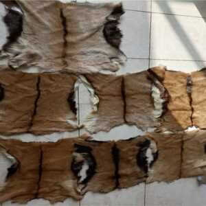 Real Antelope Goat Hide Fur Skin Pelt Fur Sheepskin Leather Fur Skin Clothing Accessories 1pcs (Approx 16"X20")