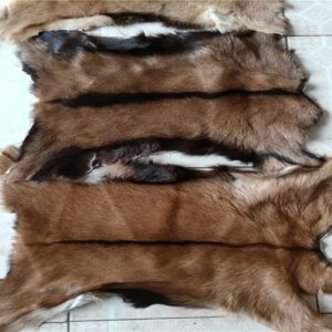 Real Antelope Goat Hide Fur Skin Pelt Fur Sheepskin Leather Fur Skin Clothing Accessories 1pcs (Approx 16"X20")