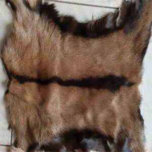 Real Antelope Goat Hide Fur Skin Pelt Fur Sheepskin Leather Fur Skin Clothing Accessories 1pcs (Approx 16"X20")