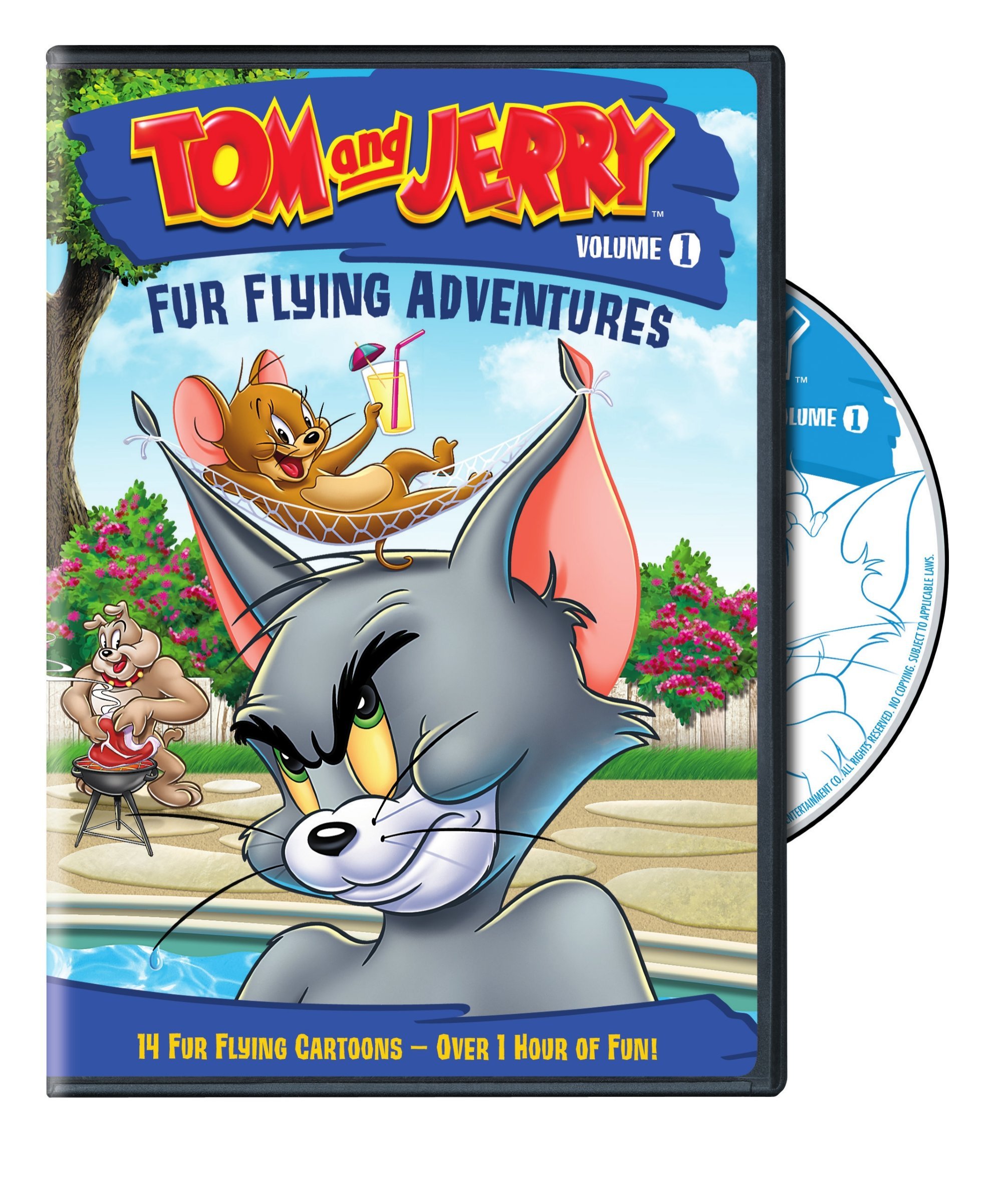 Tom and Jerry: Fur Flying Adventures, Vol. 1