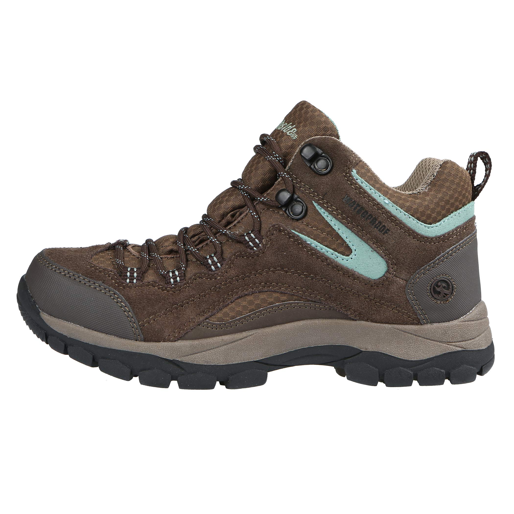 Northside womens Pioneer Wp Hiking Boot, Dk Brown/Sage, 6.5 US