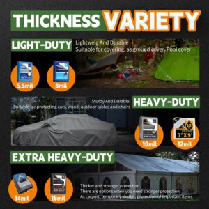 Tarps Heavy Duty Waterproof 6x8 Feet, 10Mil Multipurpose Small Tarp Cover with Metal Grommets and Reinforced Edges, Silver/Brown Tarp by RAINDEWAY