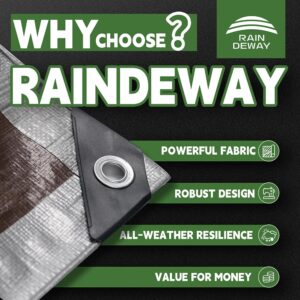 Tarps Heavy Duty Waterproof 6x8 Feet, 10Mil Multipurpose Small Tarp Cover with Metal Grommets and Reinforced Edges, Silver/Brown Tarp by RAINDEWAY