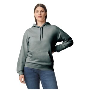 Gildan Unisex Adult Softstyle Fleece Midweight Hoodie (L) (Paragon)