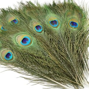 ihufeather 10pcs real natural peacock eye feathers 10-12 inch for diy craft floral arrangements,wedding,home and party decorations feathers,natural