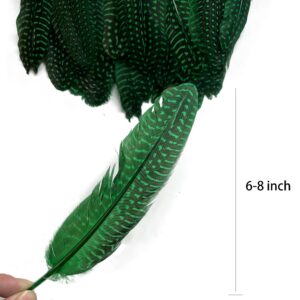 HAPPY FEATHER 6-9 inch Natural Guinea Wing Plumage Feather for DIY Craft, Jewelry and Clothing Decoration Pack of 20-Green