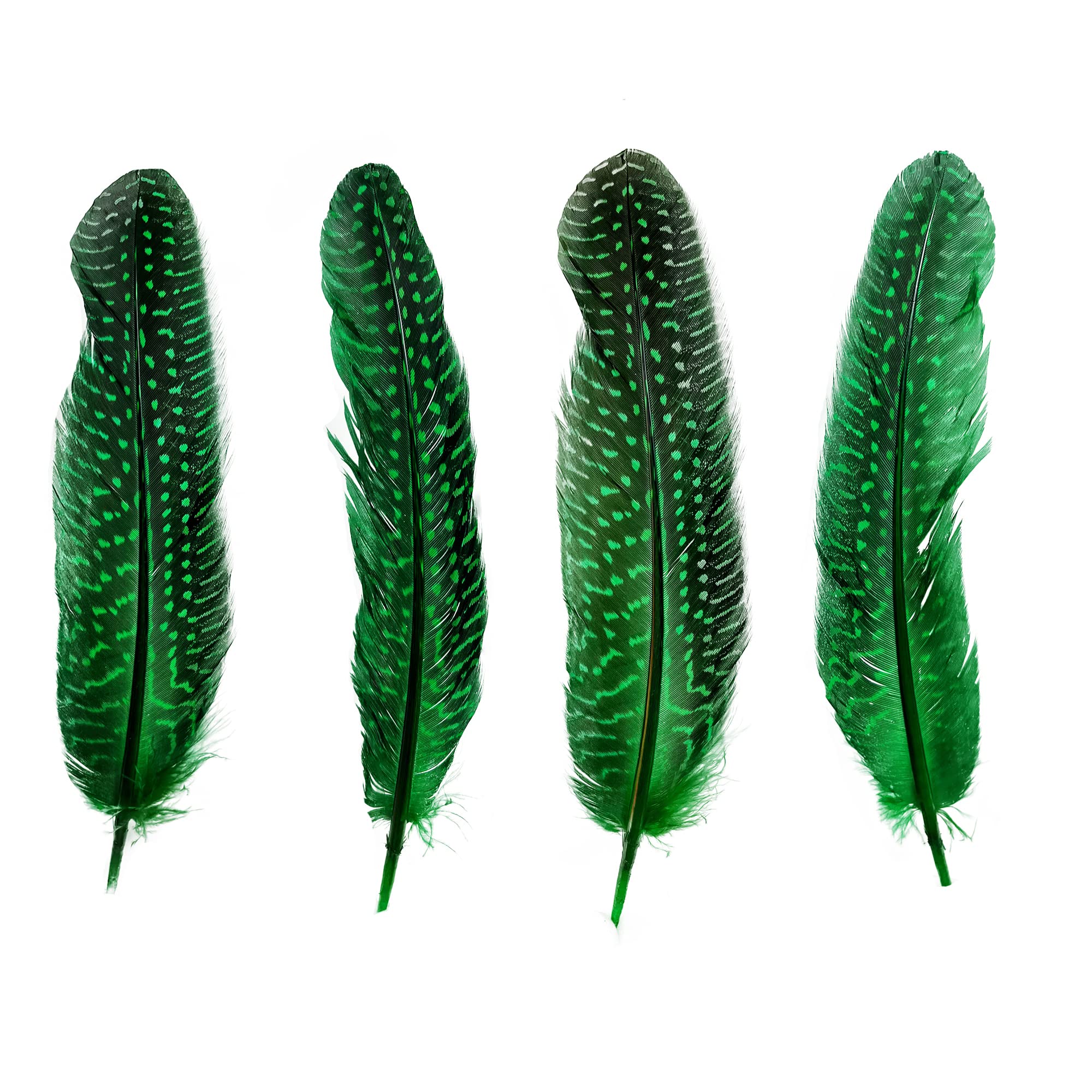 HAPPY FEATHER 6-9 inch Natural Guinea Wing Plumage Feather for DIY Craft, Jewelry and Clothing Decoration Pack of 20-Green