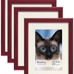 VIOLABBEY 6x8 Picture Frame Red, Photo Frame Set of 4, Display 4x6 Photo with Mat and 6x8 without Mat, Wall or Tabletop, HD Real Glass