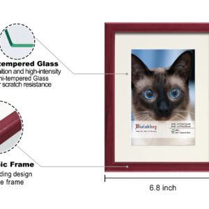 VIOLABBEY 6x8 Picture Frame Red, Photo Frame Set of 4, Display 4x6 Photo with Mat and 6x8 without Mat, Wall or Tabletop, HD Real Glass