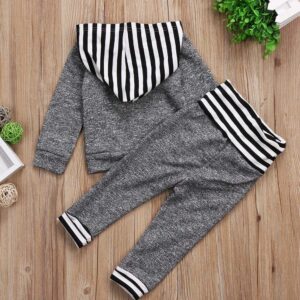 Toddler Infant Baby Boy Girls Clothes Hoodie Fall Winter Sweatsuit Pants Gender Neutral Long Sleeve Outfit Set(18-24 Months, Dinosaur)