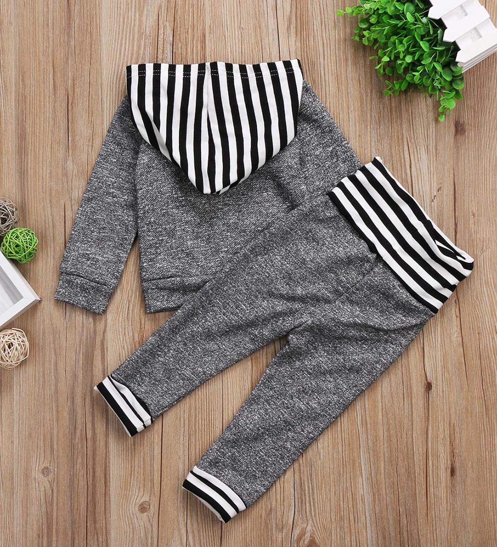 Toddler Infant Baby Boy Girls Clothes Hoodie Fall Winter Sweatsuit Pants Gender Neutral Long Sleeve Outfit Set(18-24 Months, Dinosaur)