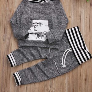 Toddler Infant Baby Boy Girls Clothes Hoodie Fall Winter Sweatsuit Pants Gender Neutral Long Sleeve Outfit Set(18-24 Months, Dinosaur)