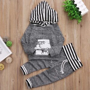 Toddler Infant Baby Boy Girls Clothes Hoodie Fall Winter Sweatsuit Pants Gender Neutral Long Sleeve Outfit Set(18-24 Months, Dinosaur)