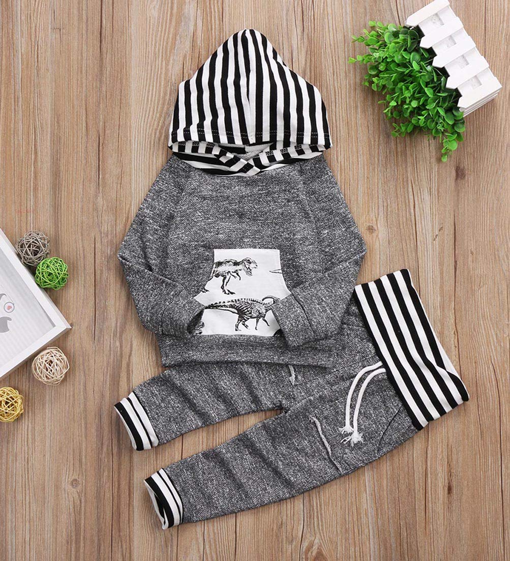 Toddler Infant Baby Boy Girls Clothes Hoodie Fall Winter Sweatsuit Pants Gender Neutral Long Sleeve Outfit Set(18-24 Months, Dinosaur)