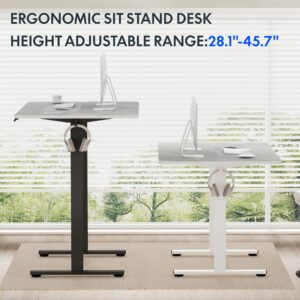 FLEXISPOT EN1 Height Adjustable Standing Desk 55 x 28 Inches Whole-Piece Desktop Electric Stand Up Desk Ergonomic Memory Controller (Black Frame + 55" Marble Grey Top, 2 Packages)